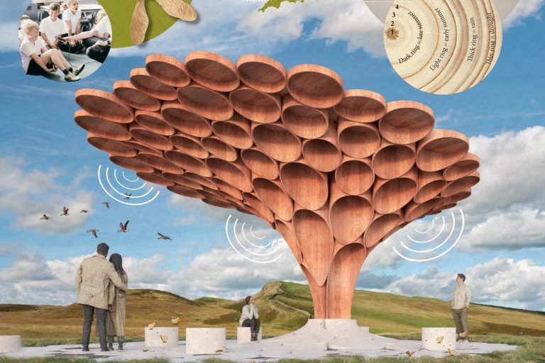 Artist To Create Work From Sycamore Gap Tree Wood After Contest Winner ...